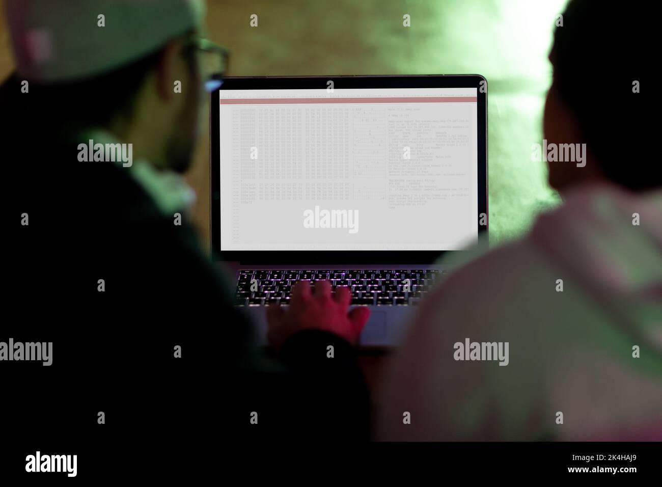 Back view of two diverse male colleagues at desk using computer with ...