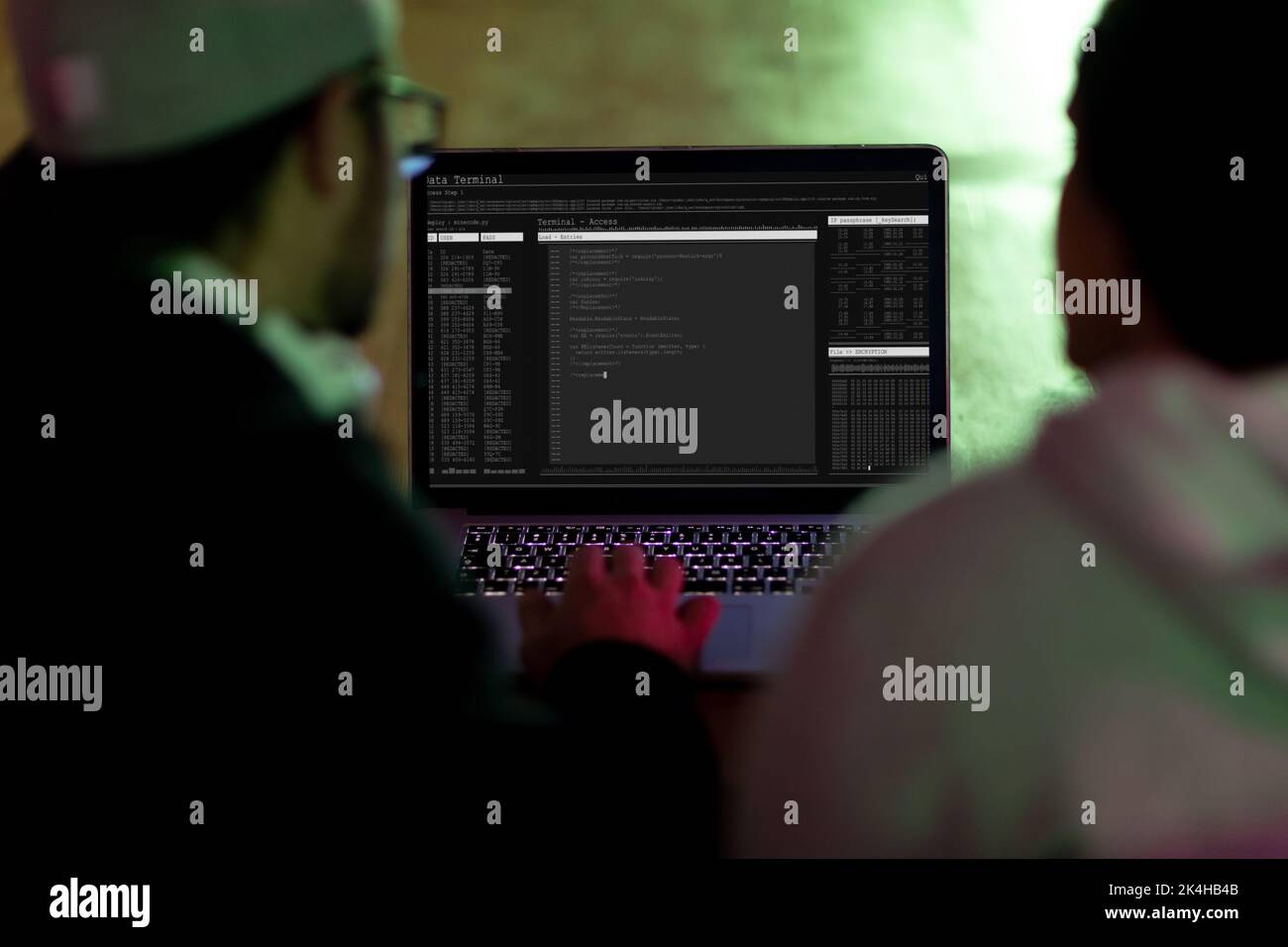 Back view of two diverse male colleagues using laptop with coding on ...