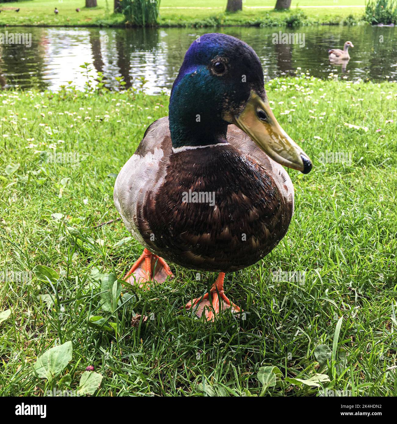 Group of people standing at green river hi-res stock photography and ...