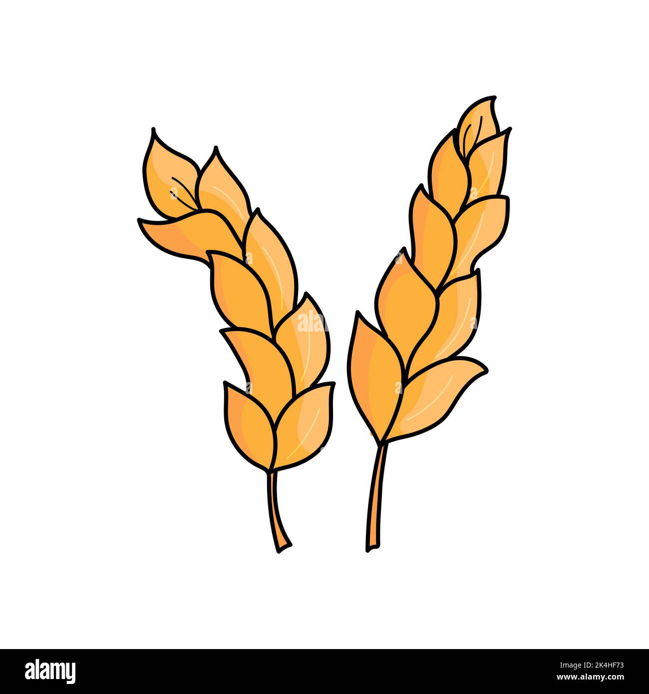 Two cartoon wheat ears on white background vector illustration. Orange ...