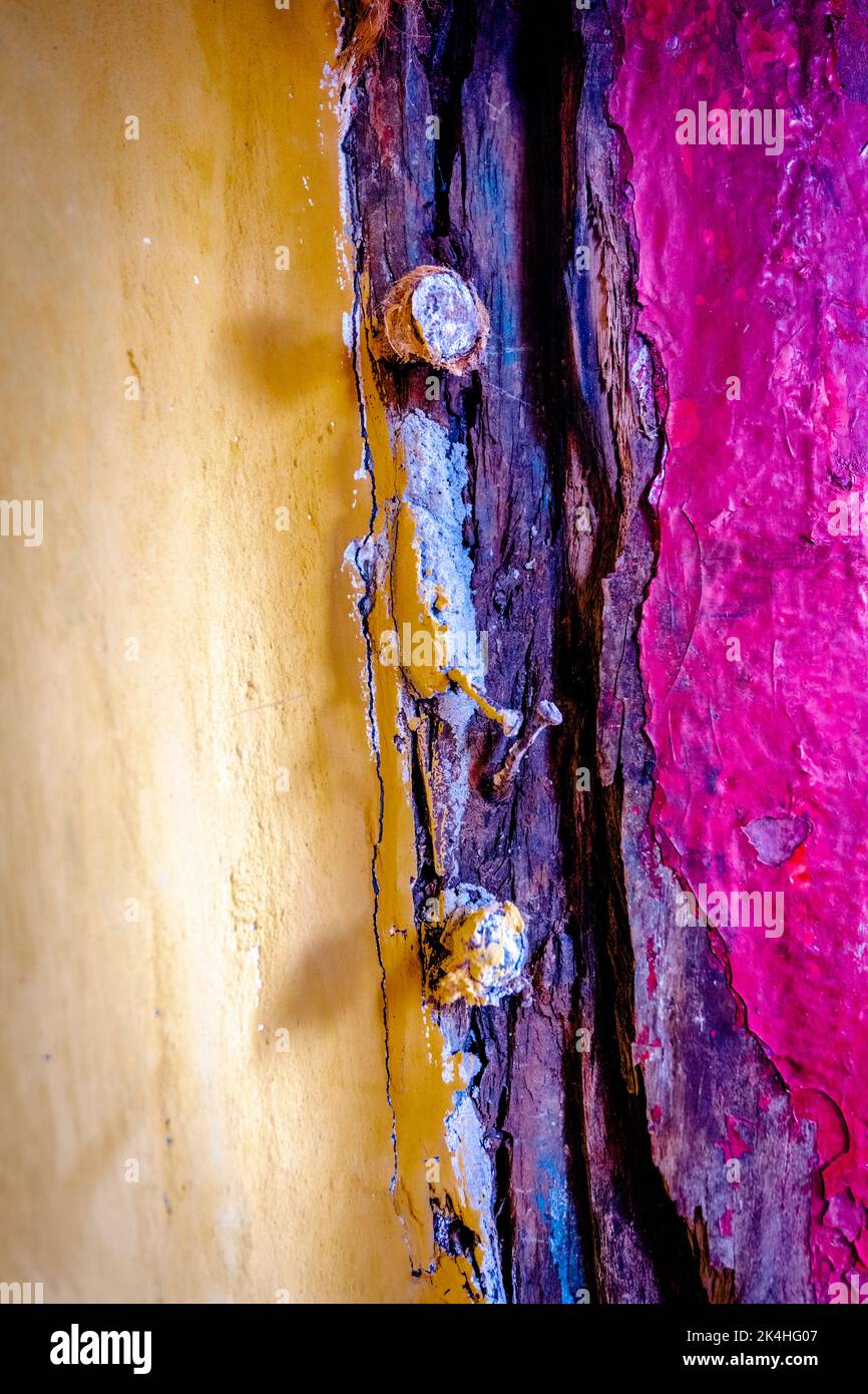 Réu hi-res stock photography and images - Alamy