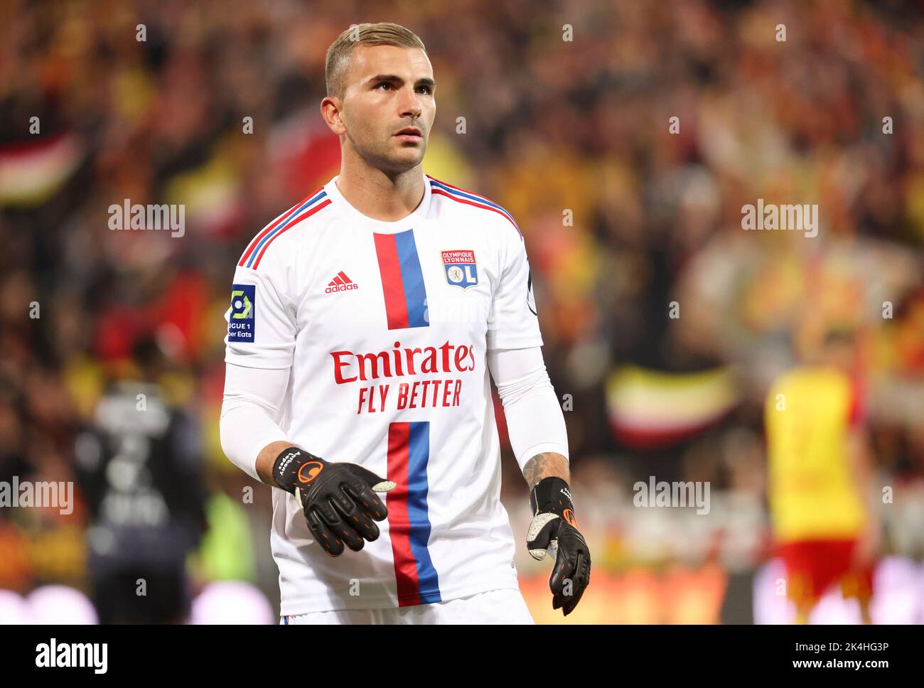 Anthony lopes lens hi-res stock photography and images - Alamy