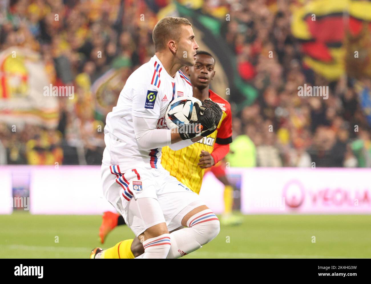 Anthony lopes lens hi-res stock photography and images - Alamy