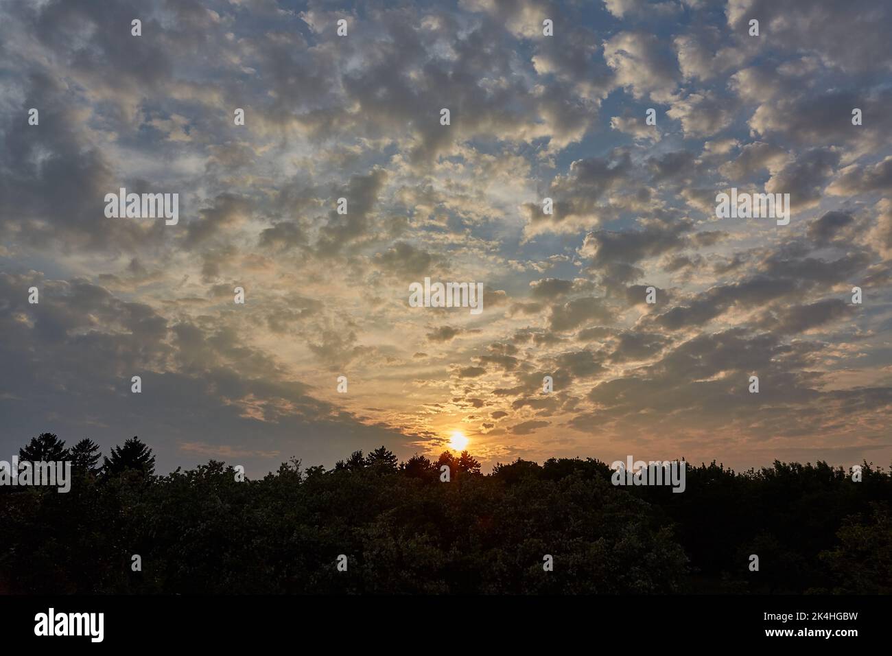 Trees in distant background hi-res stock photography and images - Alamy