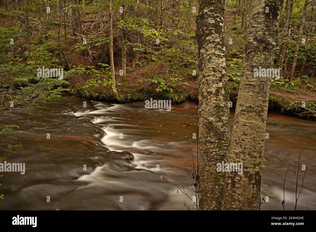 Water flows along a stream in a peaceful wooded environment Stock Photo ...