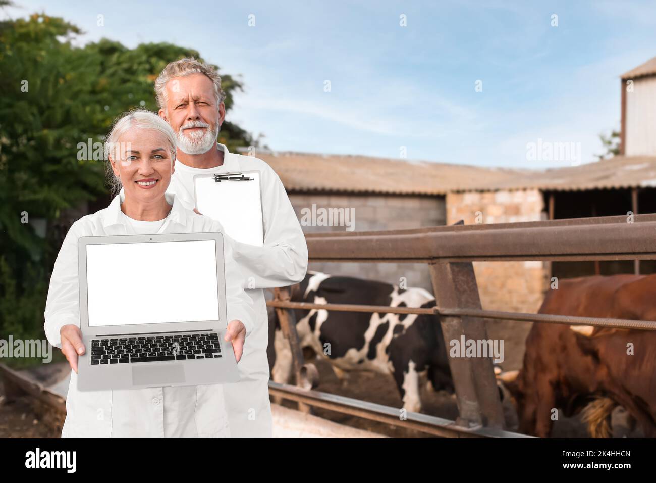 Veterinarians computer hi-res stock photography and images - Alamy