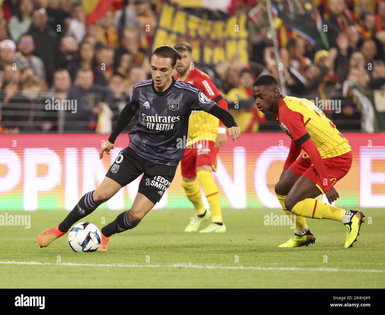 Lyon david hi-res stock photography and images - Alamy