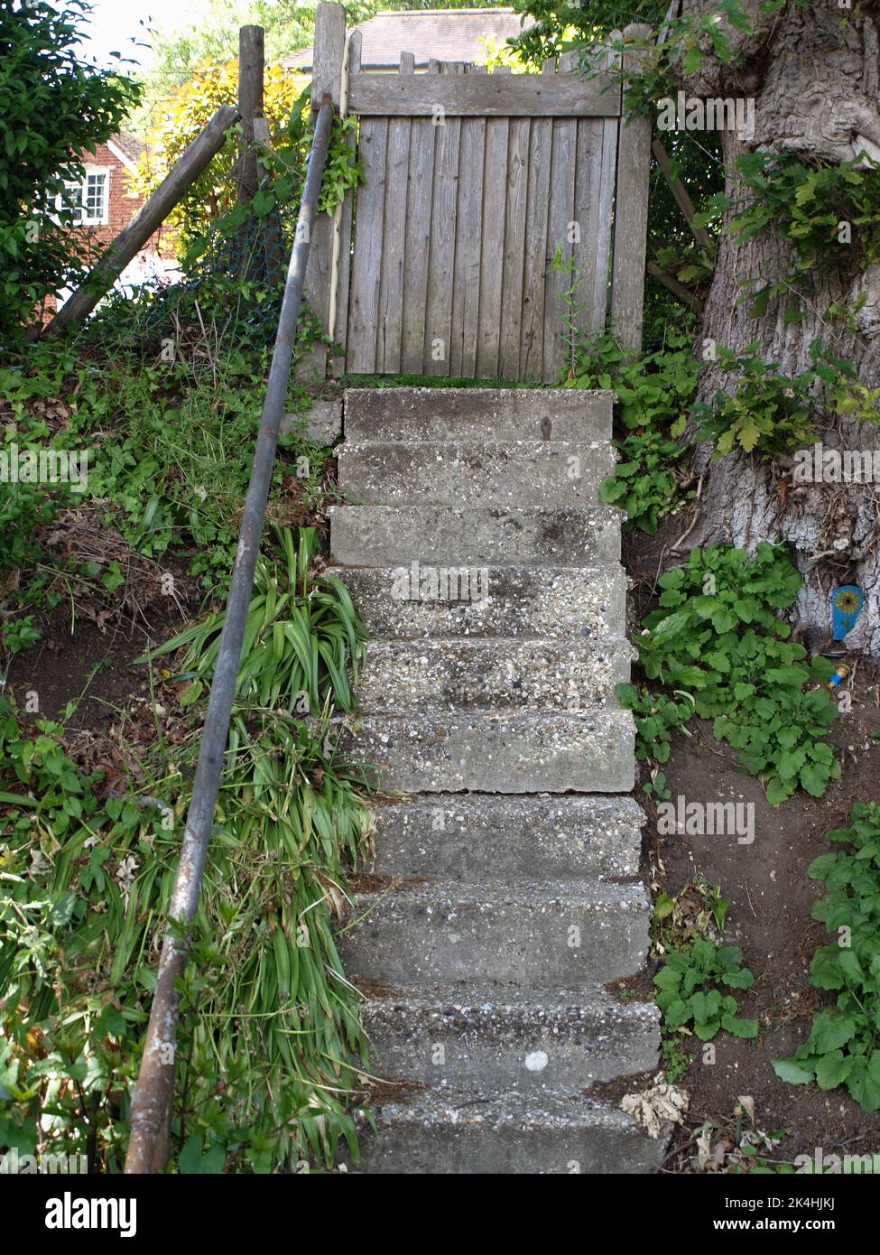 Concrete steps leading to wooden gate Stock Photo - Alamy