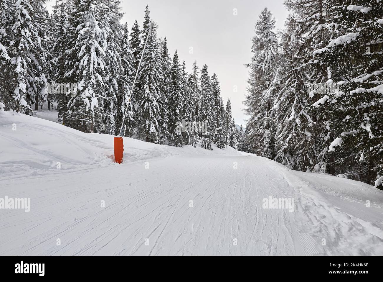 Deep snowy forest road hi-res stock photography and images - Alamy