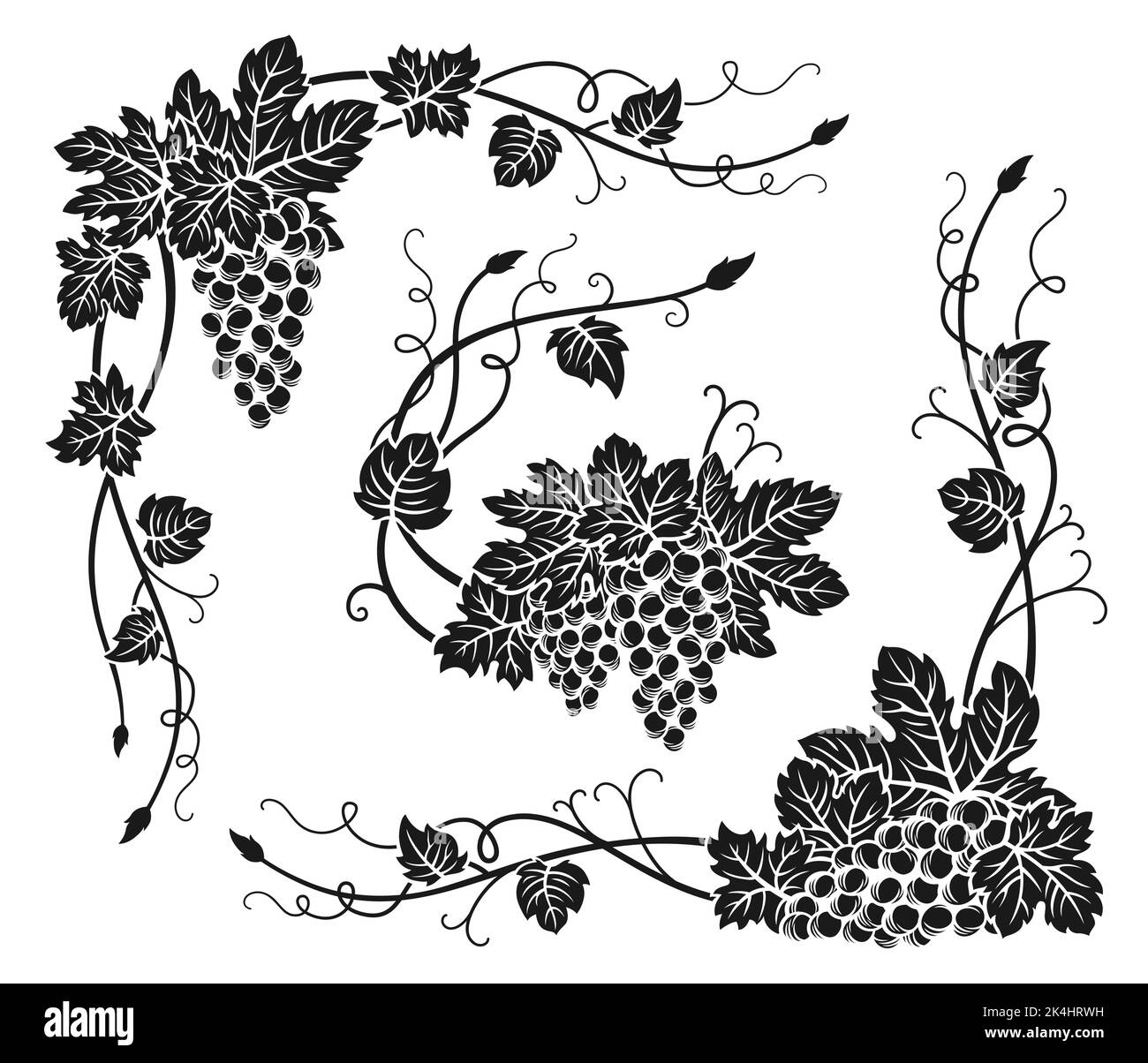 Grape vine corner bunches engraved set. Vintage hand drawn ink outline ...