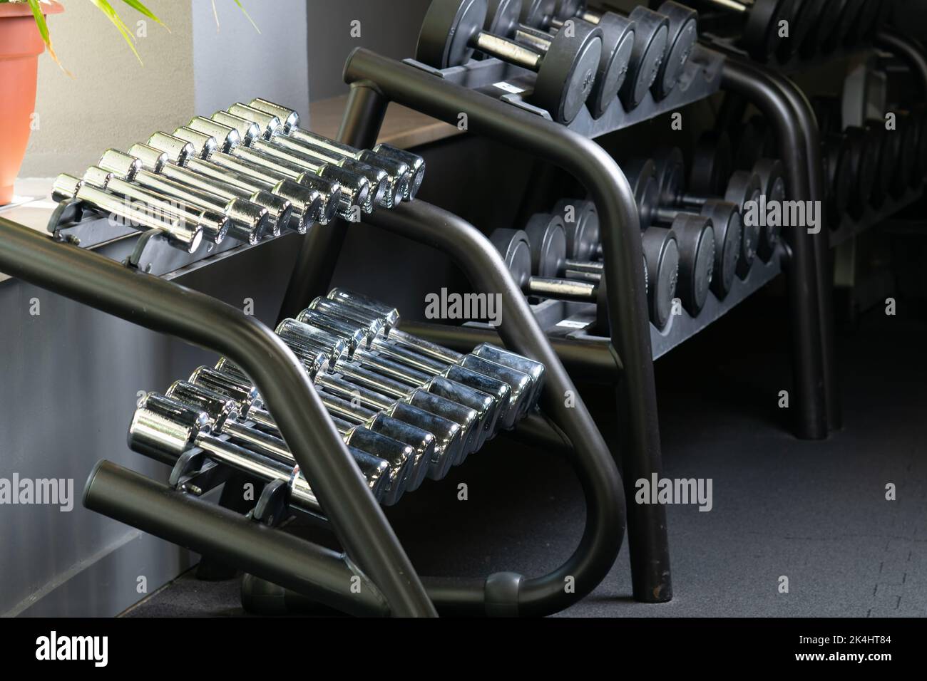 Fitness sport gym workout exercise weight training fit healthy, concept ...