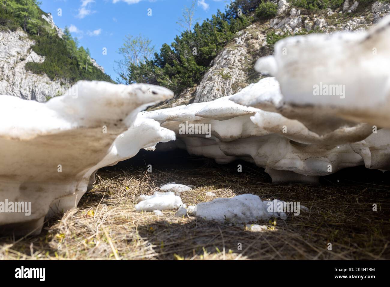 Spring thick layer of snow melting under sun Stock Photo - Alamy