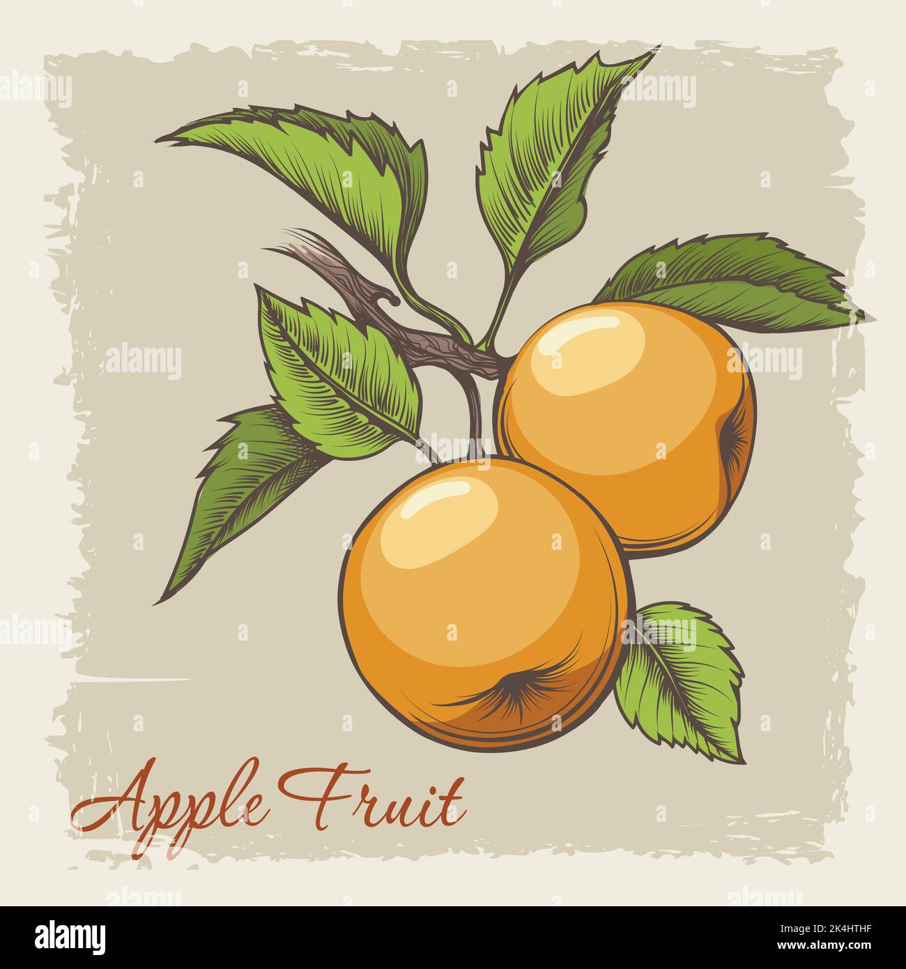 Apple branch retro emblem Stock Vector Image & Art - Alamy