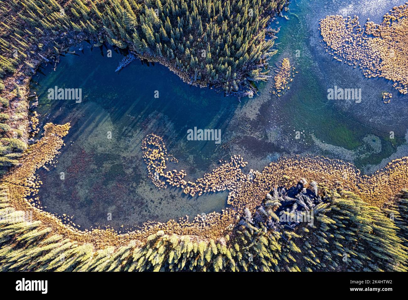 Fall aerial photos shot from the Glenn Highway, on the road to Tok ...