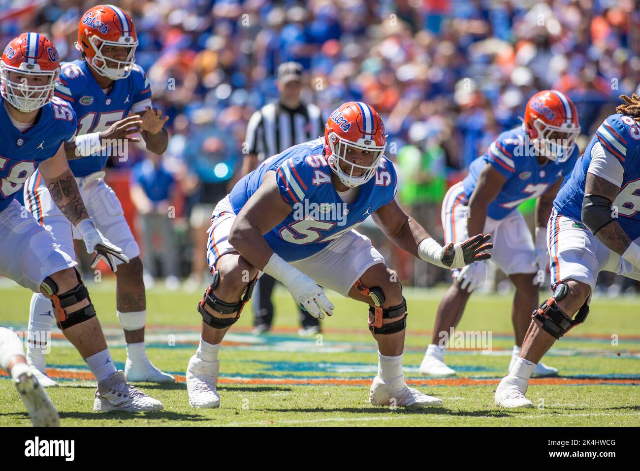 Ocyrus hi-res stock photography and images - Alamy