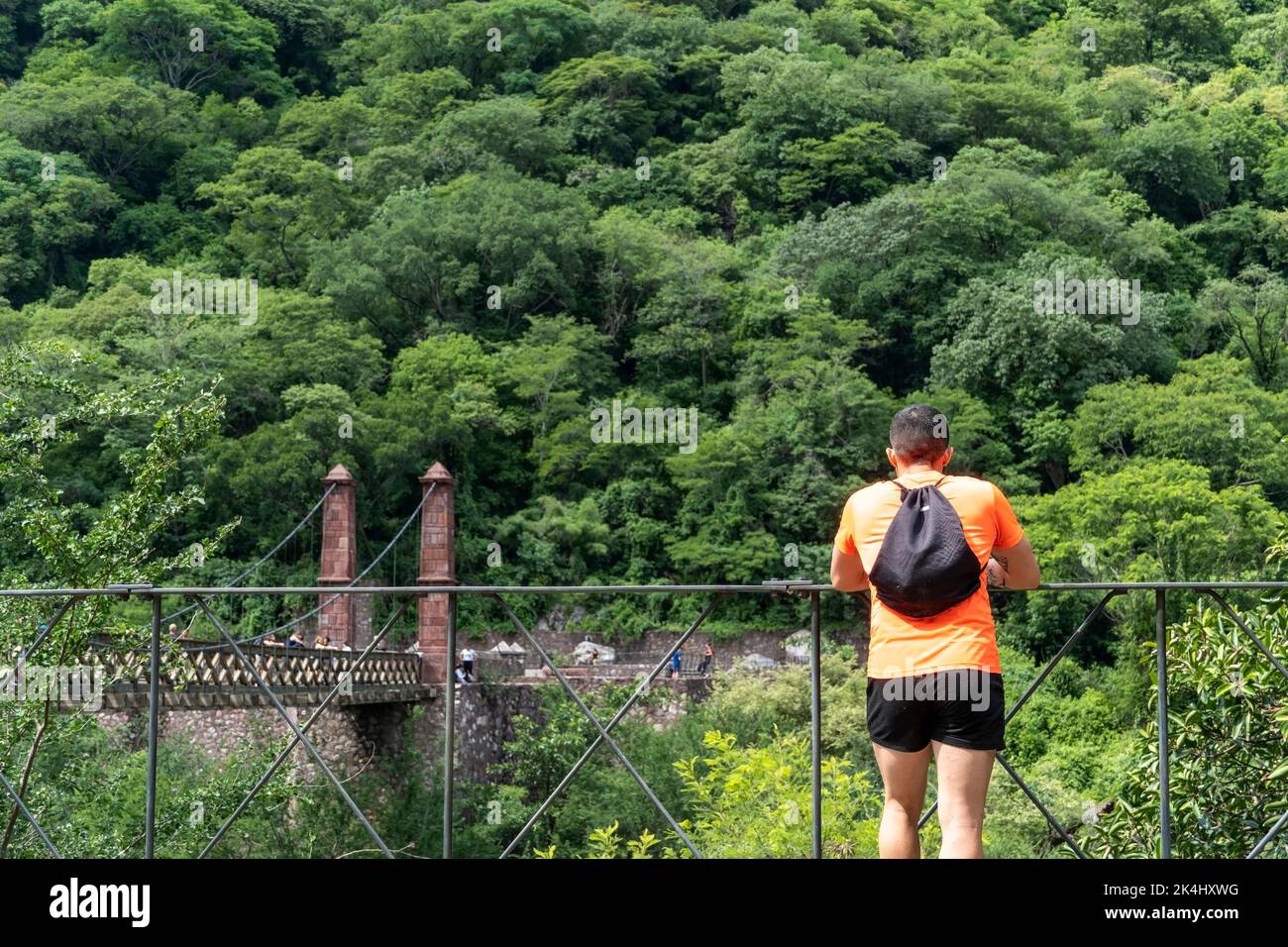 huentitan ravine, person looking at ravine vegetation, steel railing ...