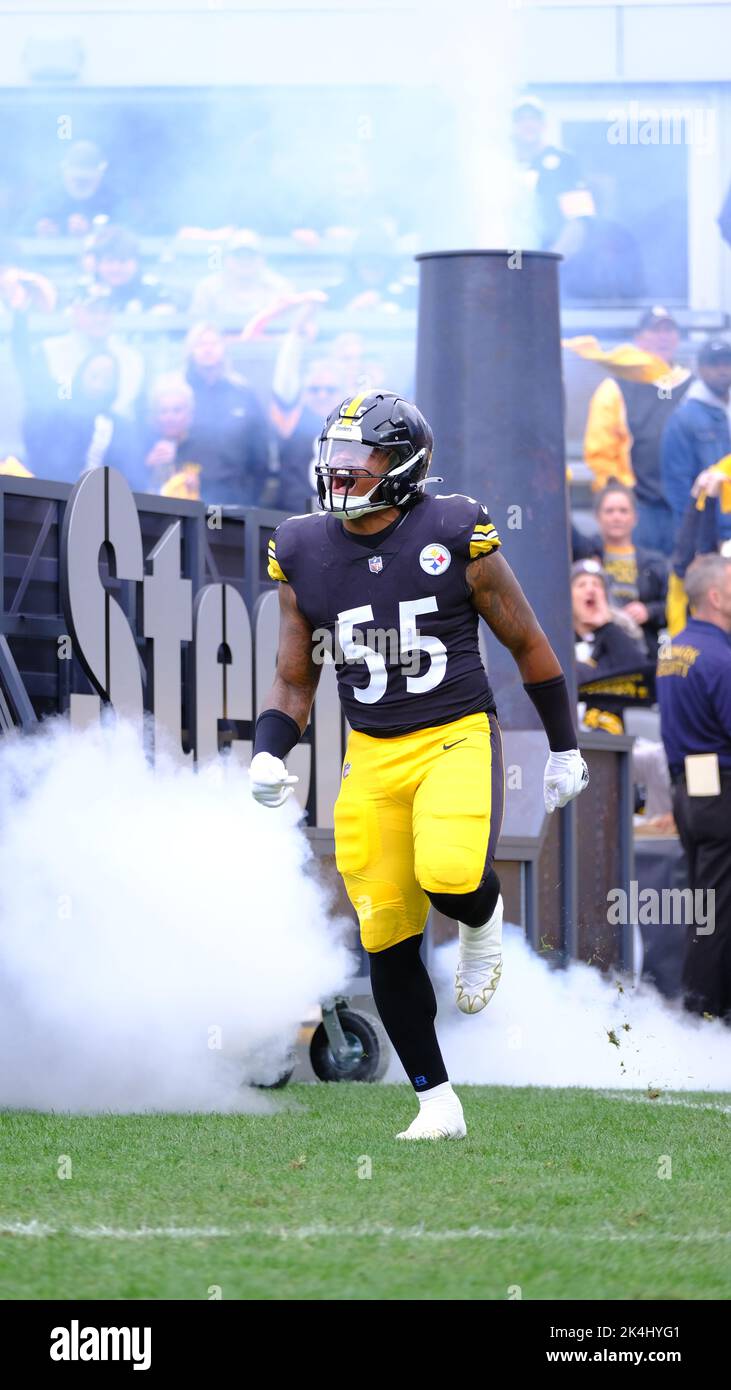 Pittsburgh, USA. Acrisure Stadium. 2nd Oct, 2022. Devin Bush #55 during ...