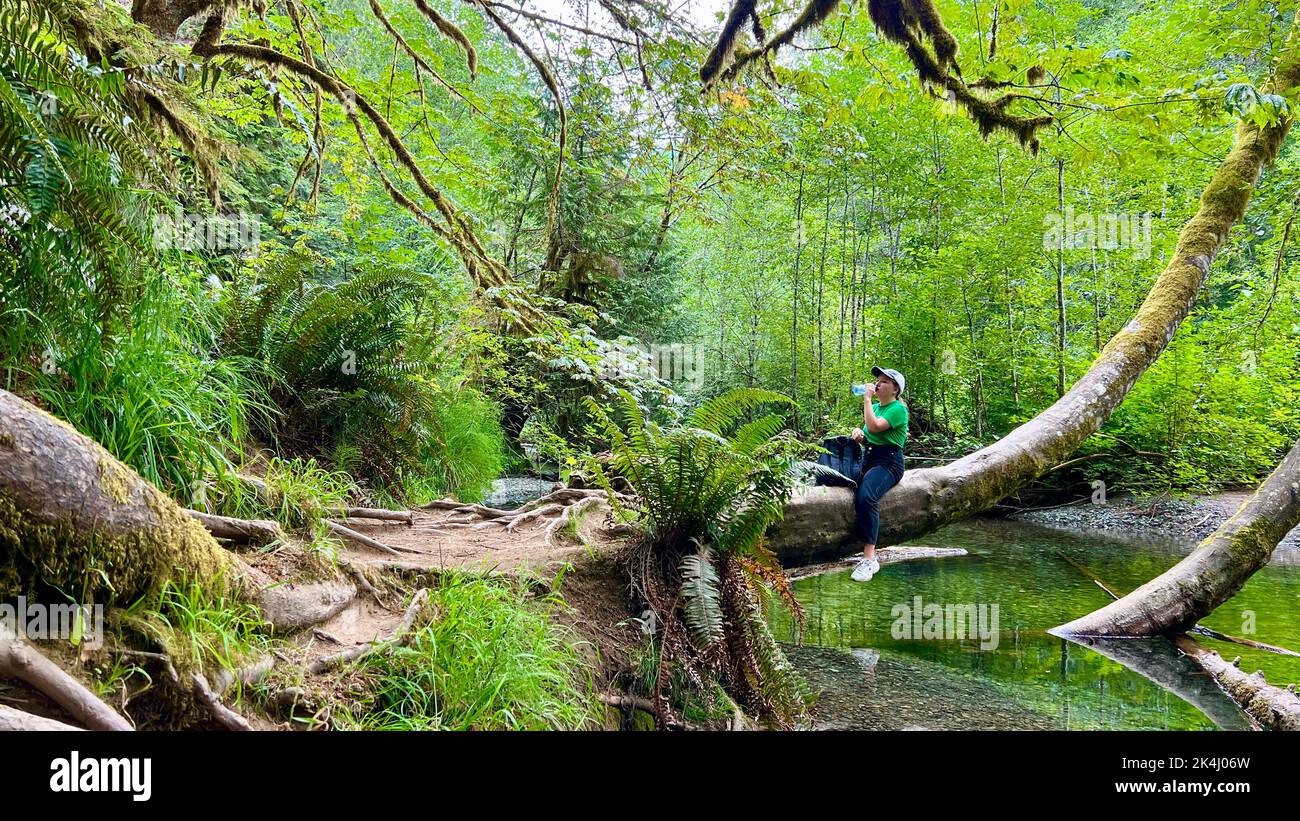 MacMillan Provincial Park Seven Wonders of Canada Vancouver island ...