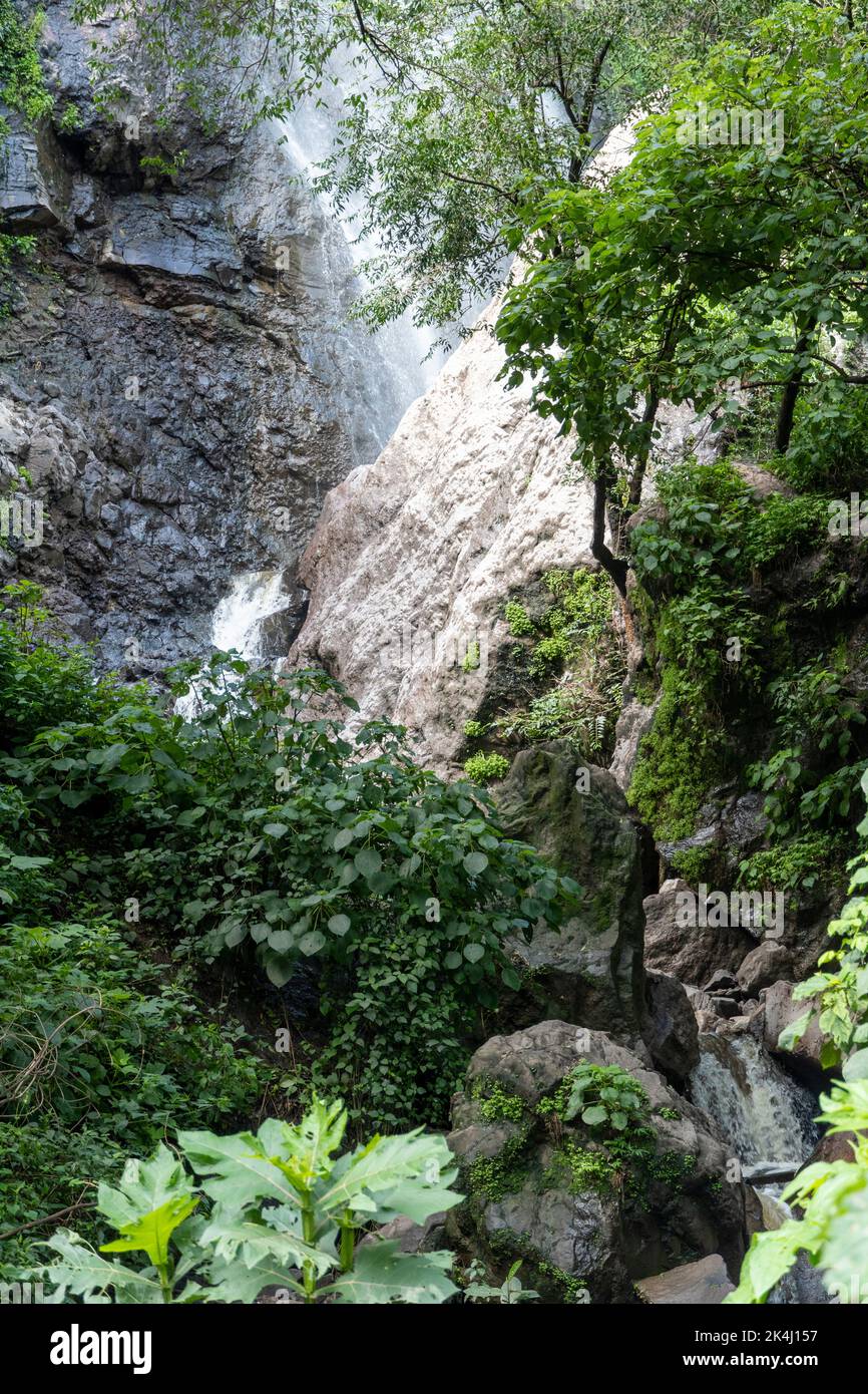 huentitan ravine in guadalajara, full of vegetation water falling ...