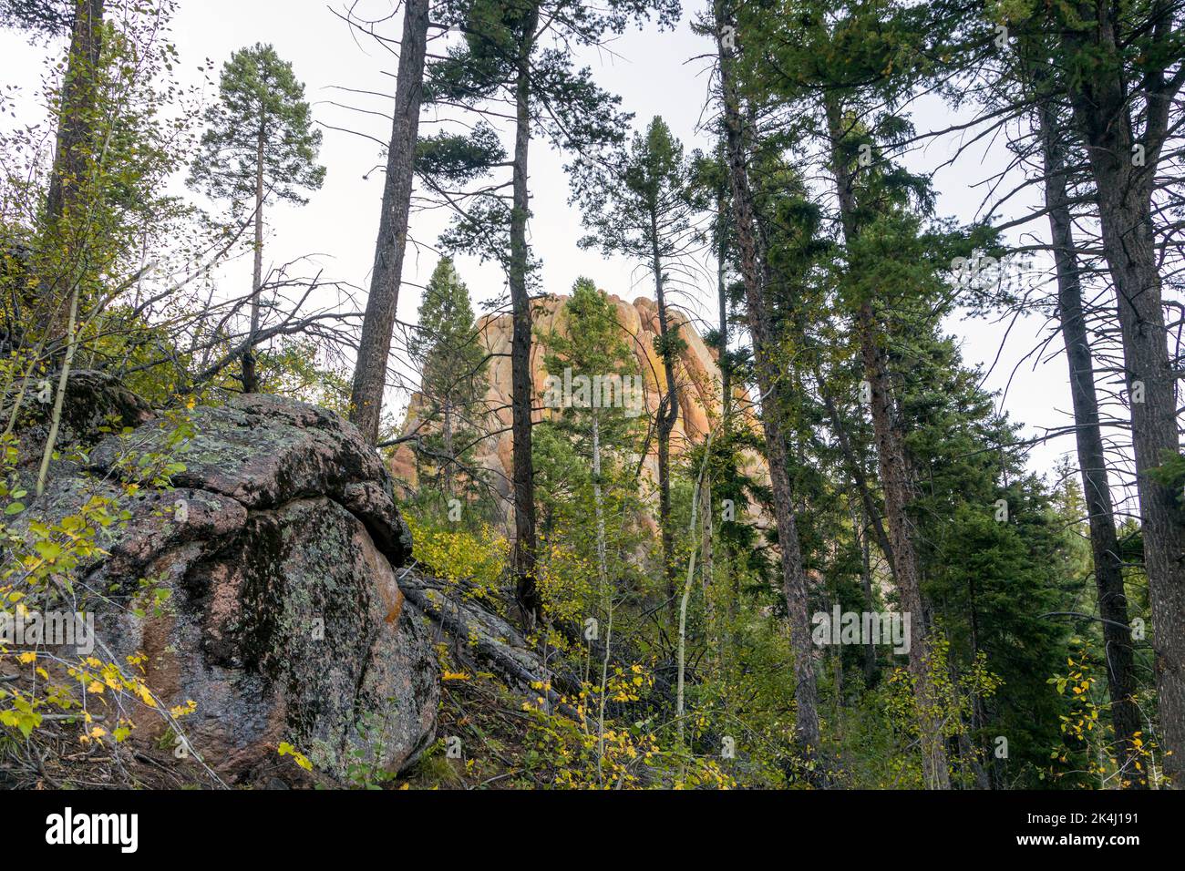 Beautiful Colorado landscape. Forest and rock formation at Devil's Head ...
