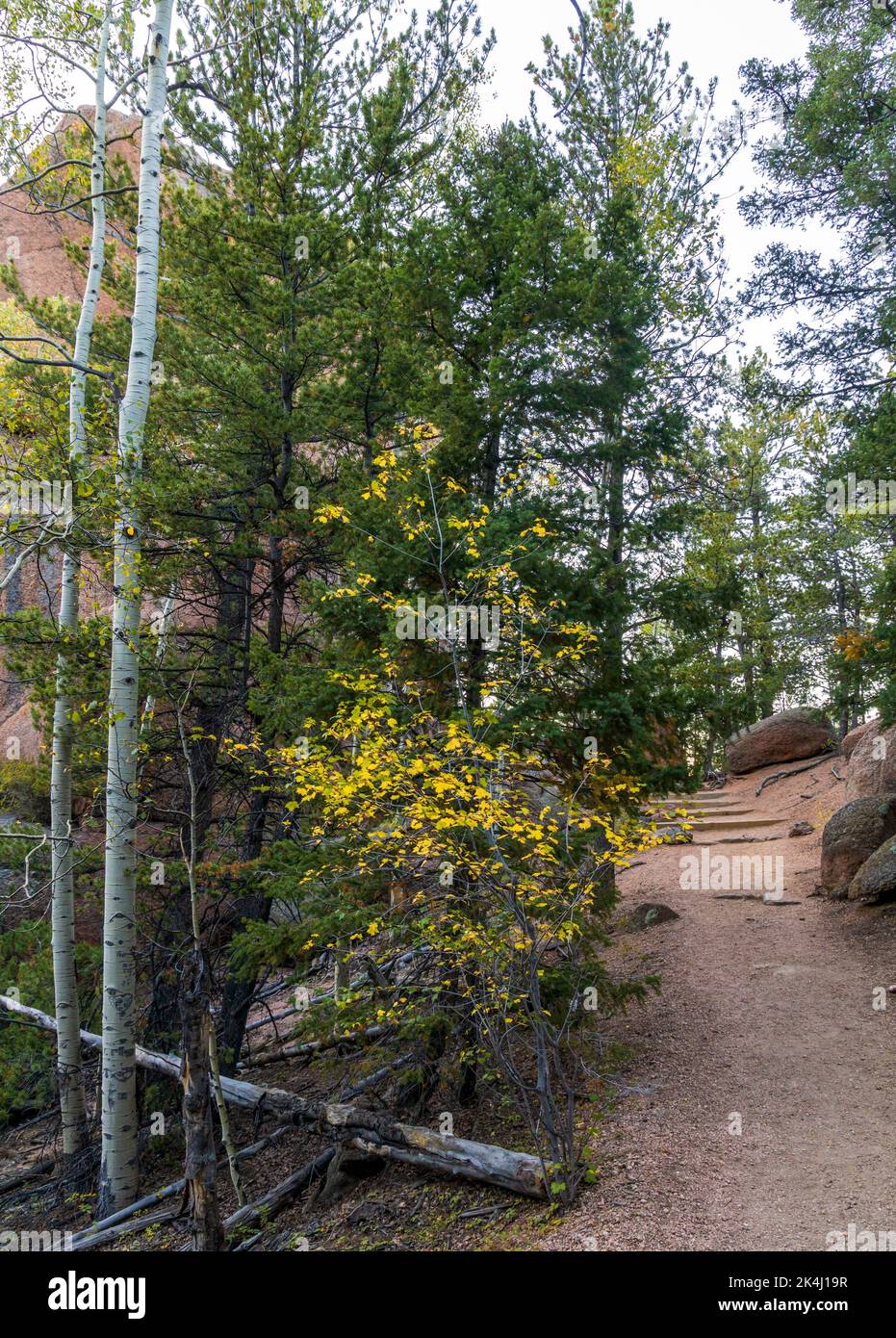 Beautiful Colorado landscape. Forest and rock formation at Devil's Head ...