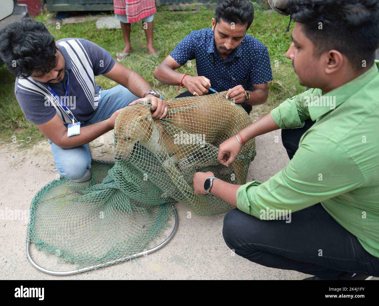 Man injects dog hi-res stock photography and images - Alamy