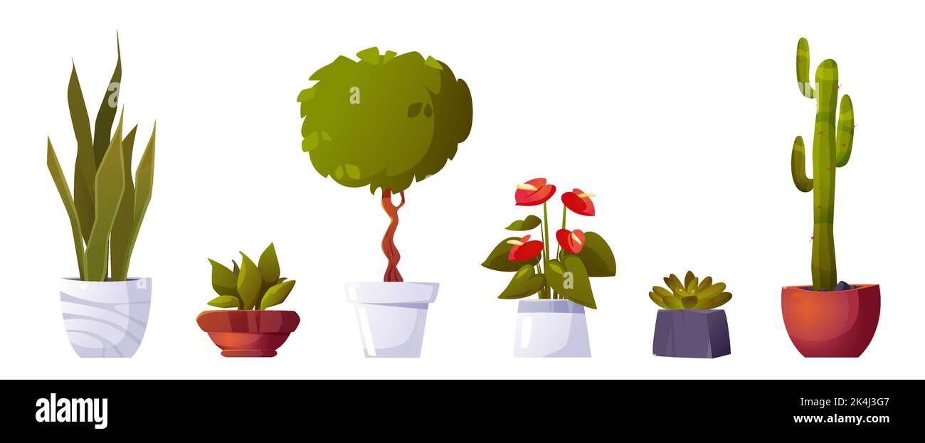 Potted flowers set isolated on white background. Collection of cartoon ...