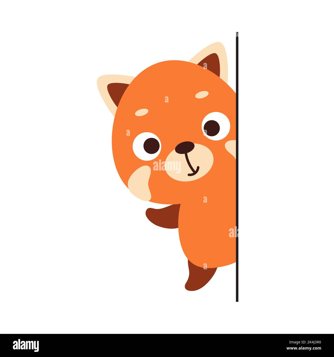 Cute little red panda peeking around corner on white background ...