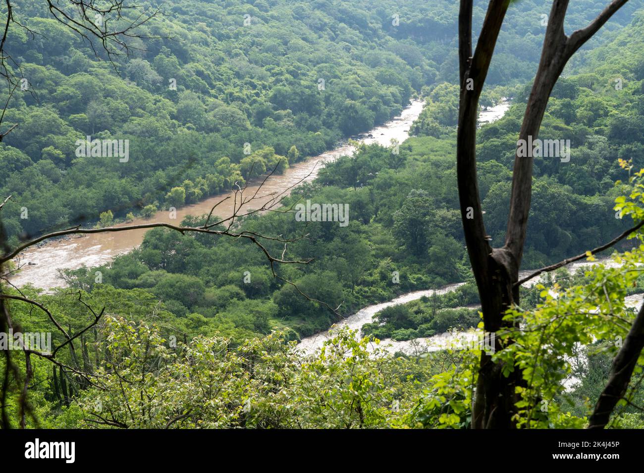 dirty river seen through the huentitan ravine in guadalajara, green ...