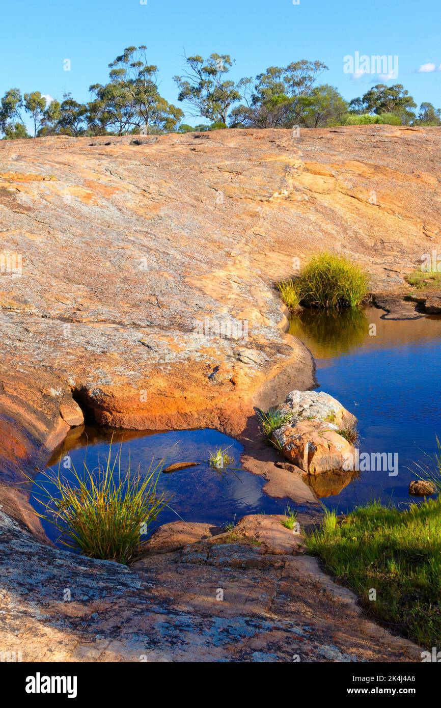 Petrudor Rocks and water hole and Granite Stone landscape, Dalwallinu ...