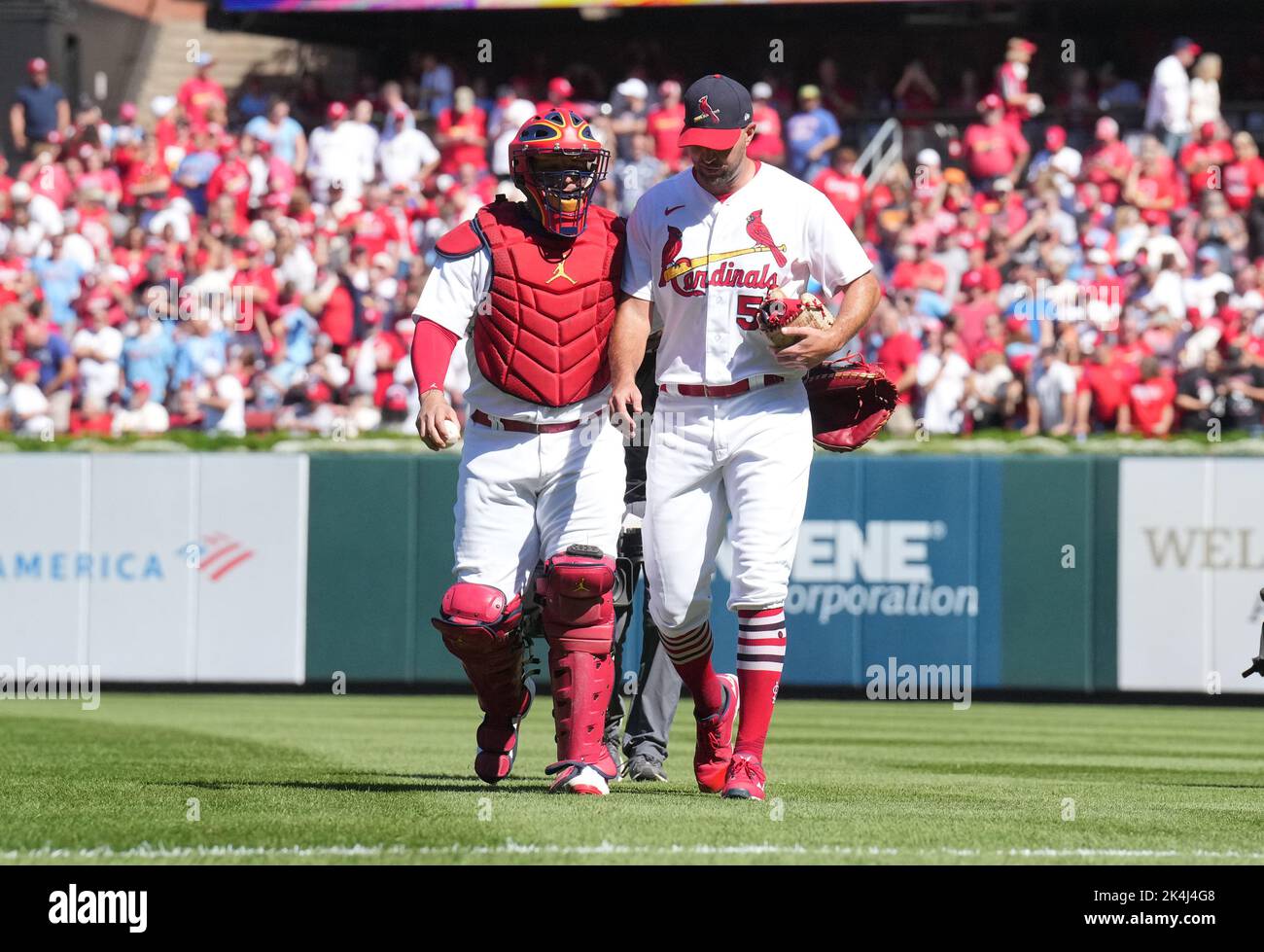 Adam wainwright 2022 hi-res stock photography and images - Alamy