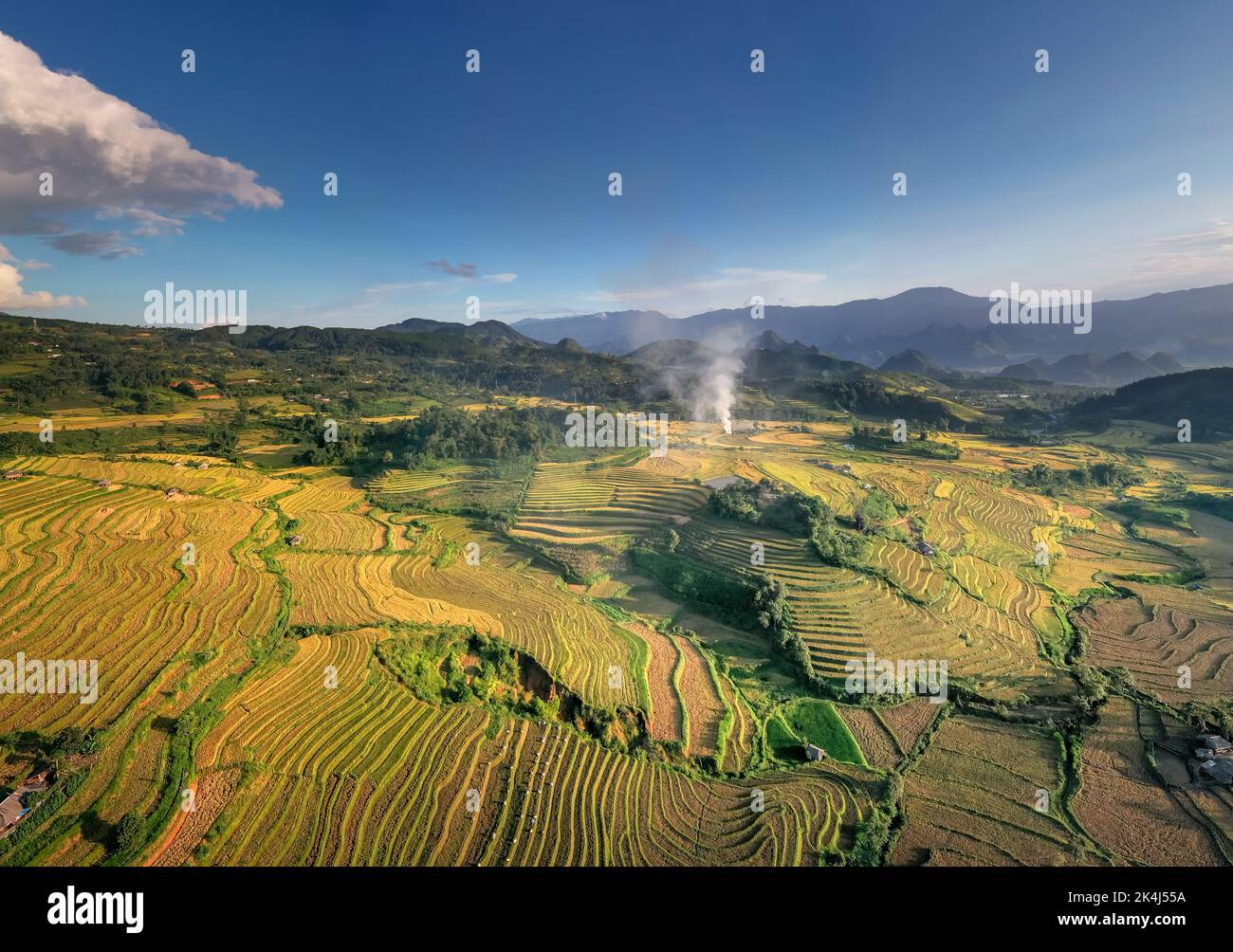 Panoramic rice field path hi-res stock photography and images - Alamy