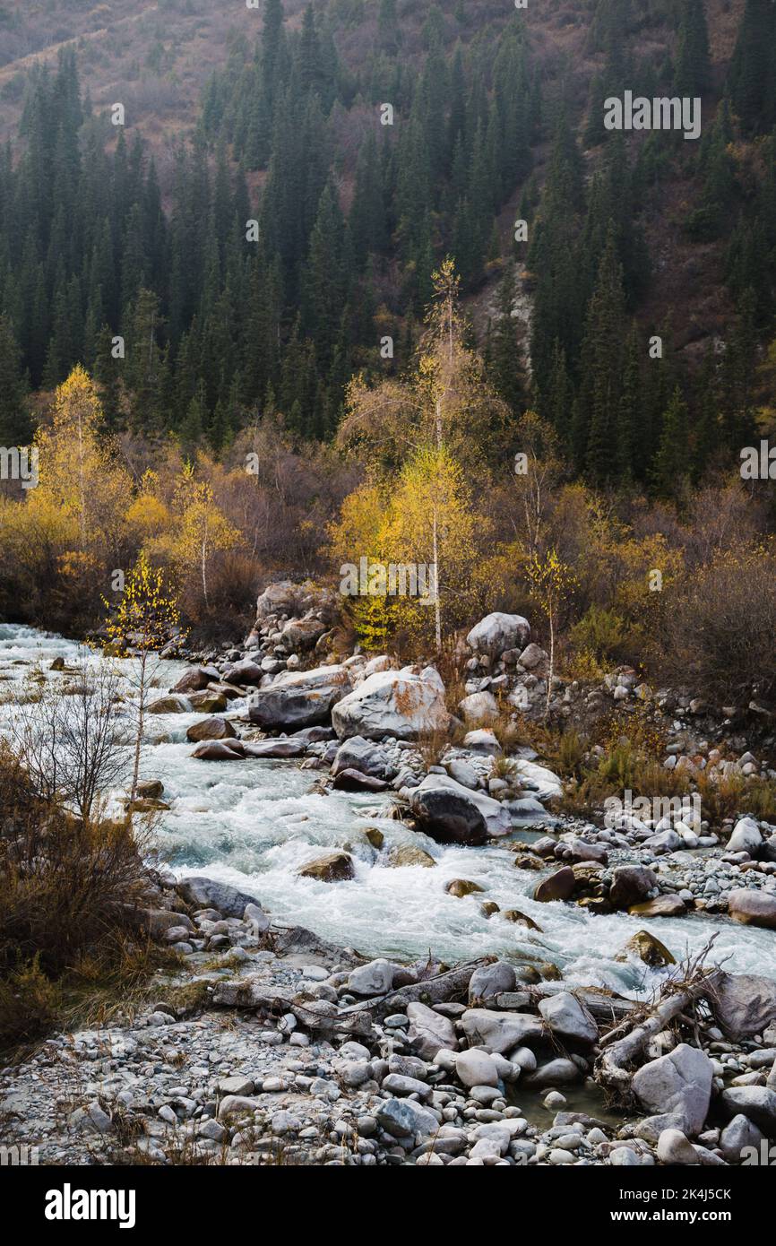 Glacial river flows through the Ala Archa mountain pass Stock Photo - Alamy