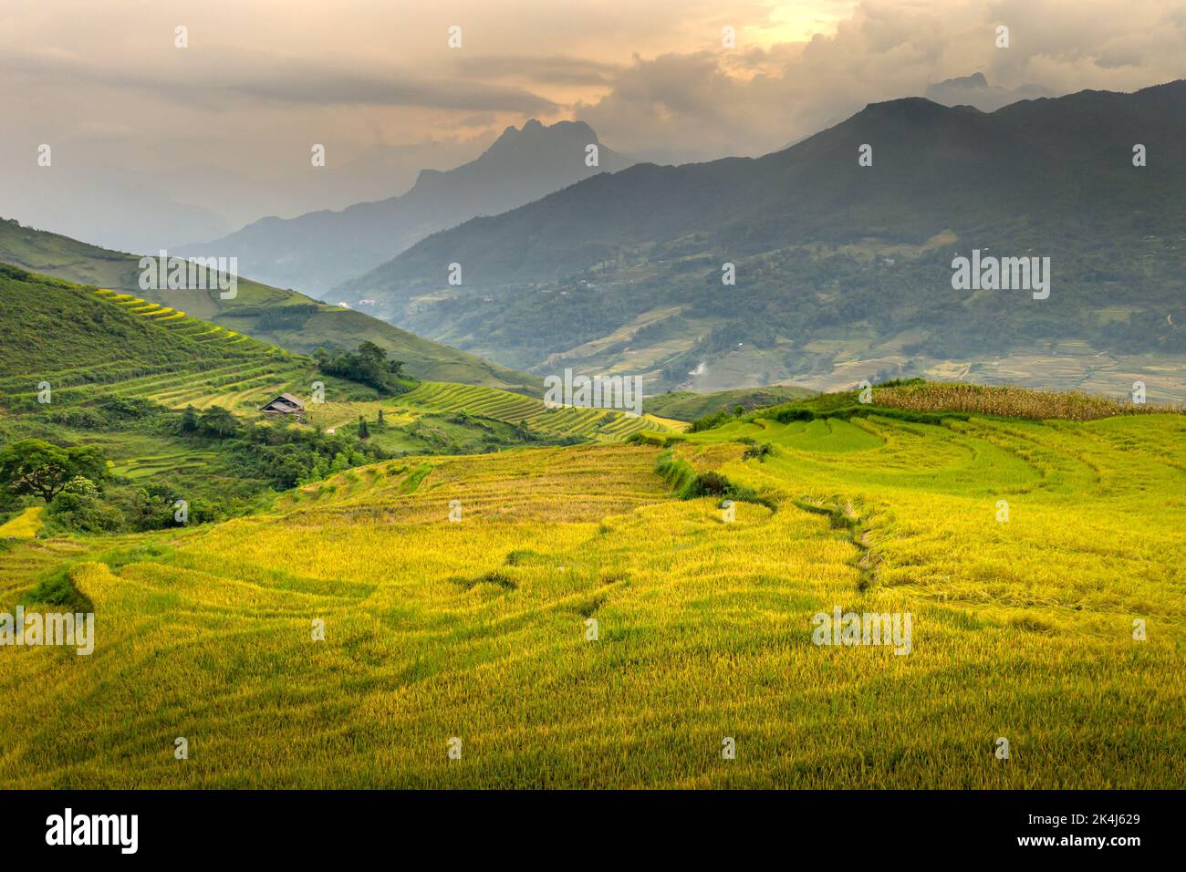 Admire the beautiful terraced fields in Y Ty commune, Bat Xat district ...