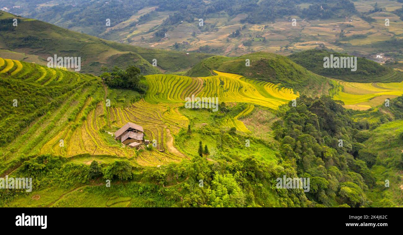 Admire the beautiful terraced fields in Y Ty commune, Bat Xat district ...