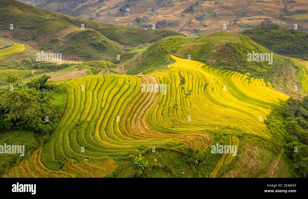 Admire the beautiful terraced fields in Y Ty commune, Bat Xat district ...