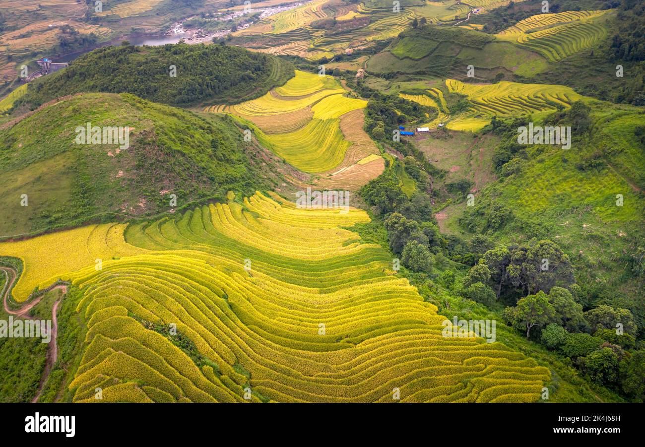 Admire the beautiful terraced fields in Y Ty commune, Bat Xat district ...
