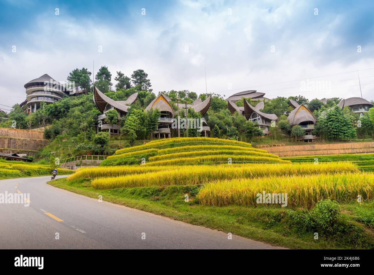 Aerial view of golden rice terraces at Mu cang chai town near Sapa city ...