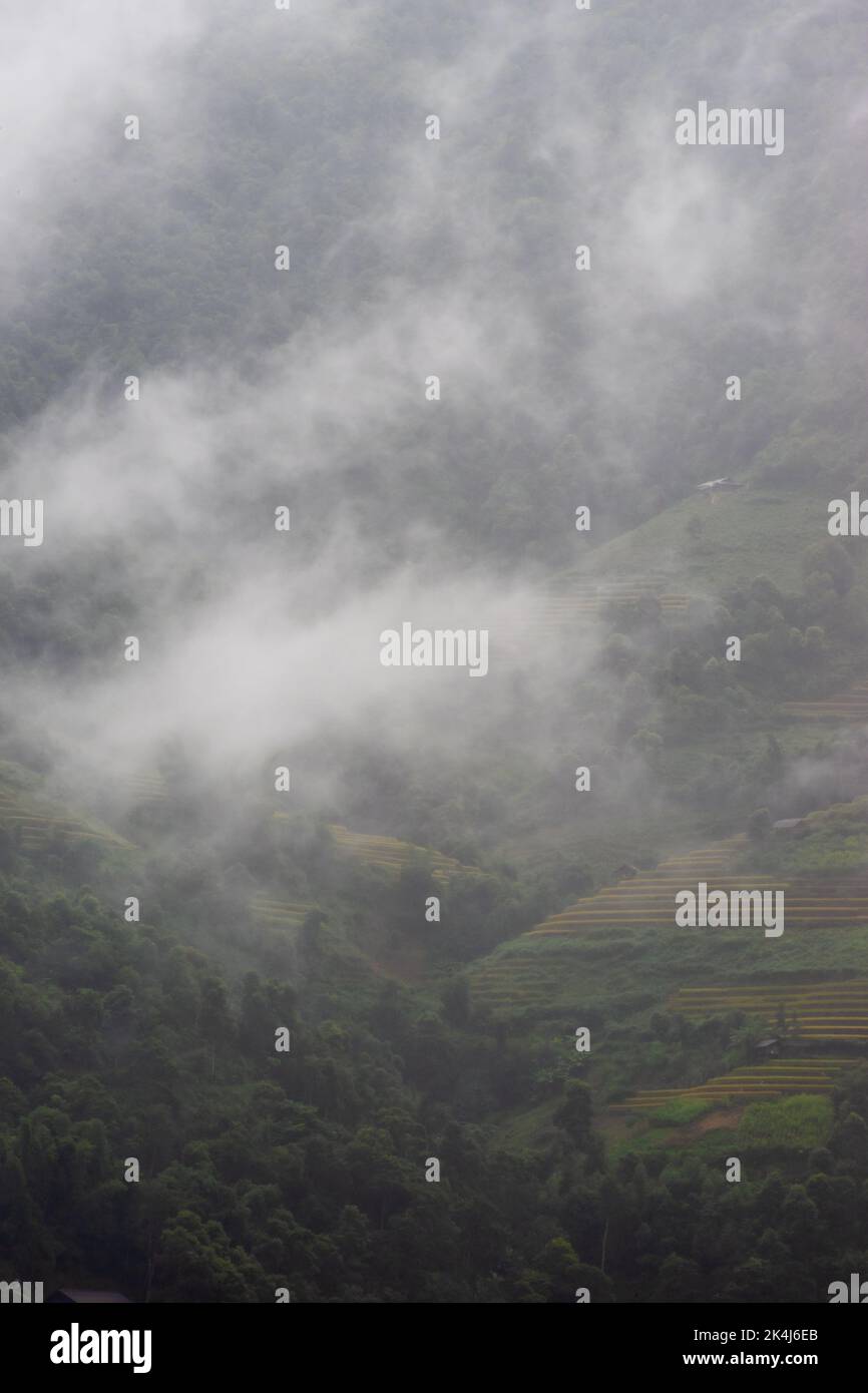 Aerial view of golden rice terraces at Mu cang chai town near Sapa city ...