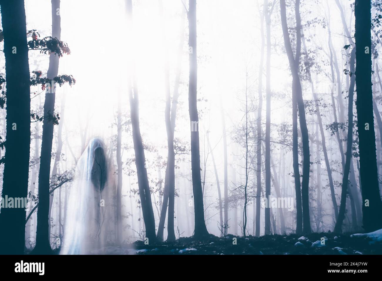 Horror background of a ghostly figure in enchanted a forest on a moody ...