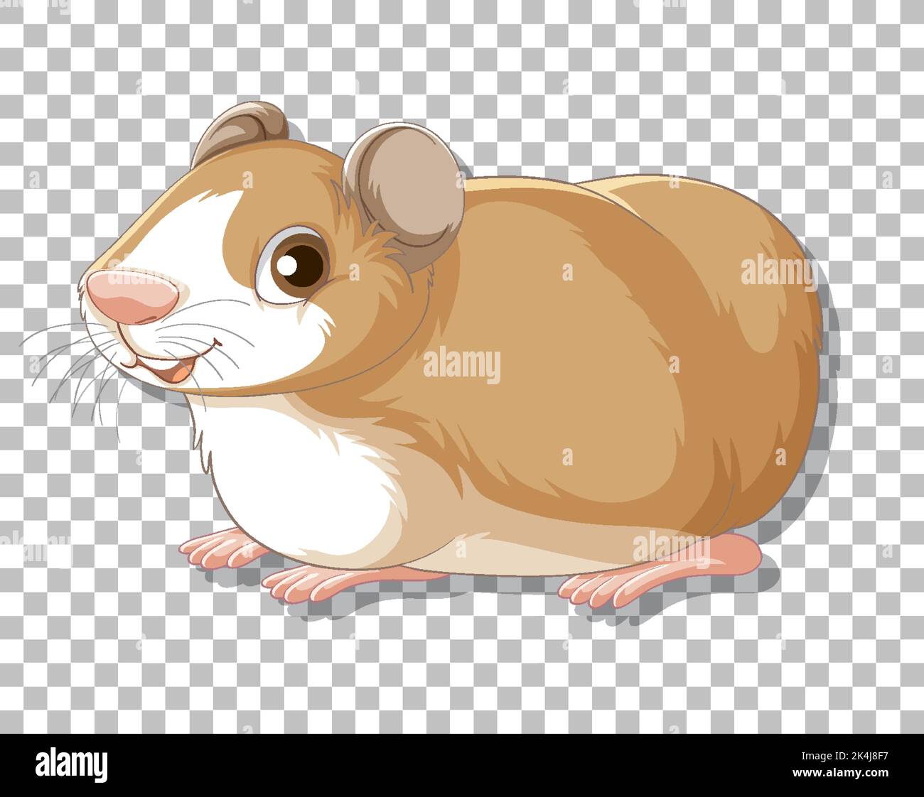 Hamster in cartoon style illustration Stock Vector Image & Art - Alamy