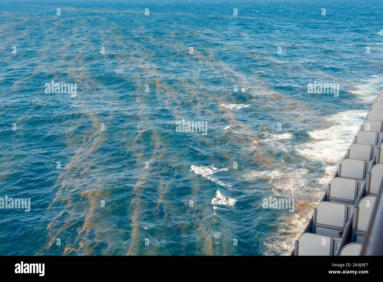 floating algal bloom seen from cruise ship in pacific ocean off ...