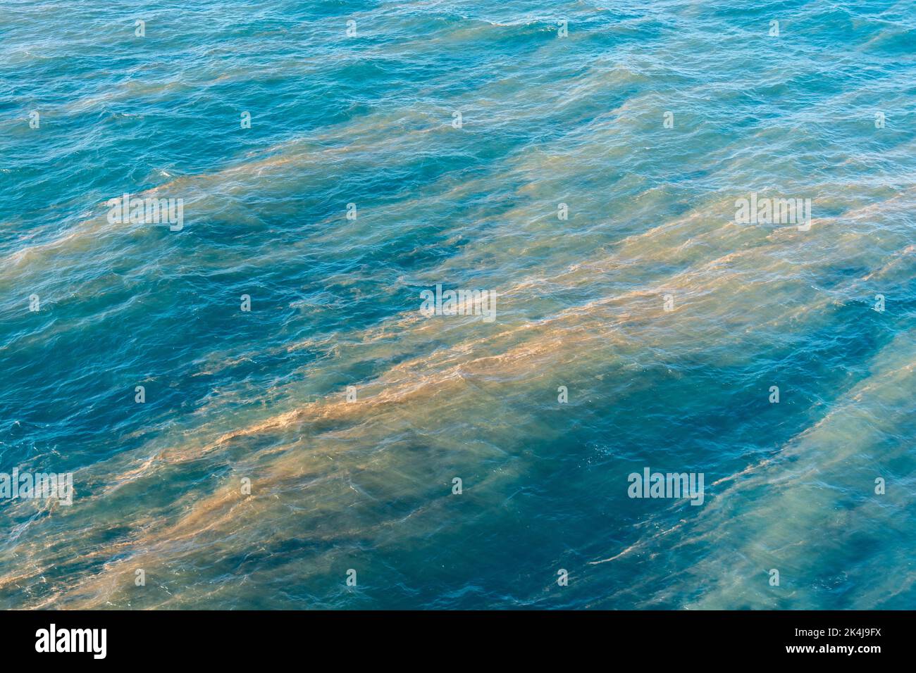 floating algal bloom seen from cruise ship in pacific ocean off ...