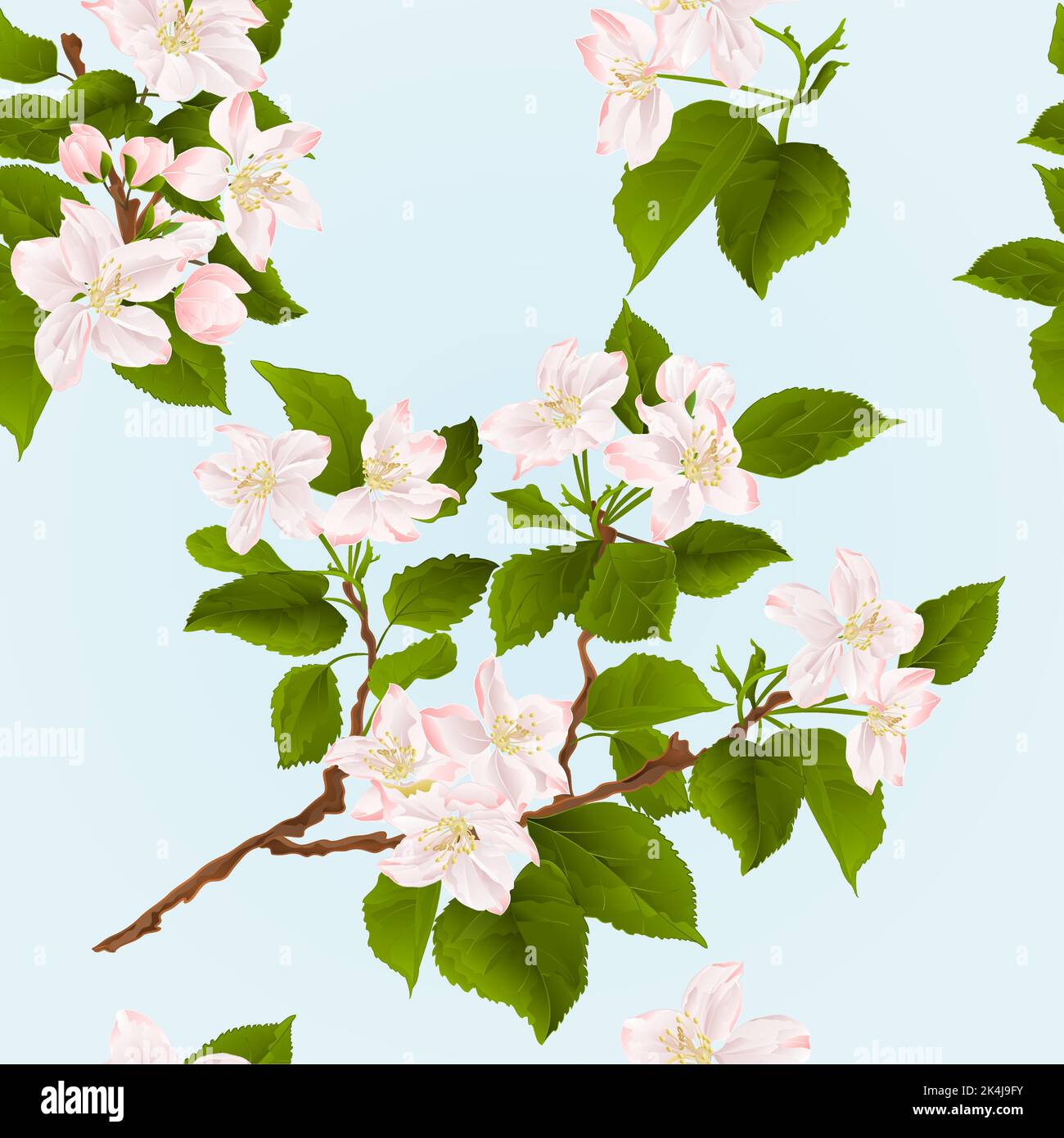 Seamless texture apple tree branch with flowers and buds spring ...