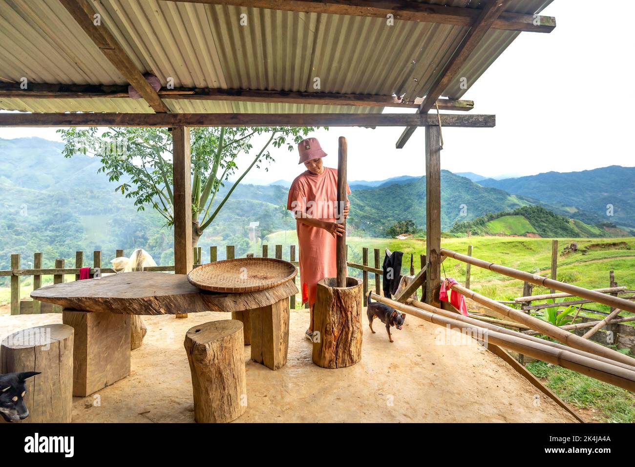 Nam tra my district hi-res stock photography and images - Alamy