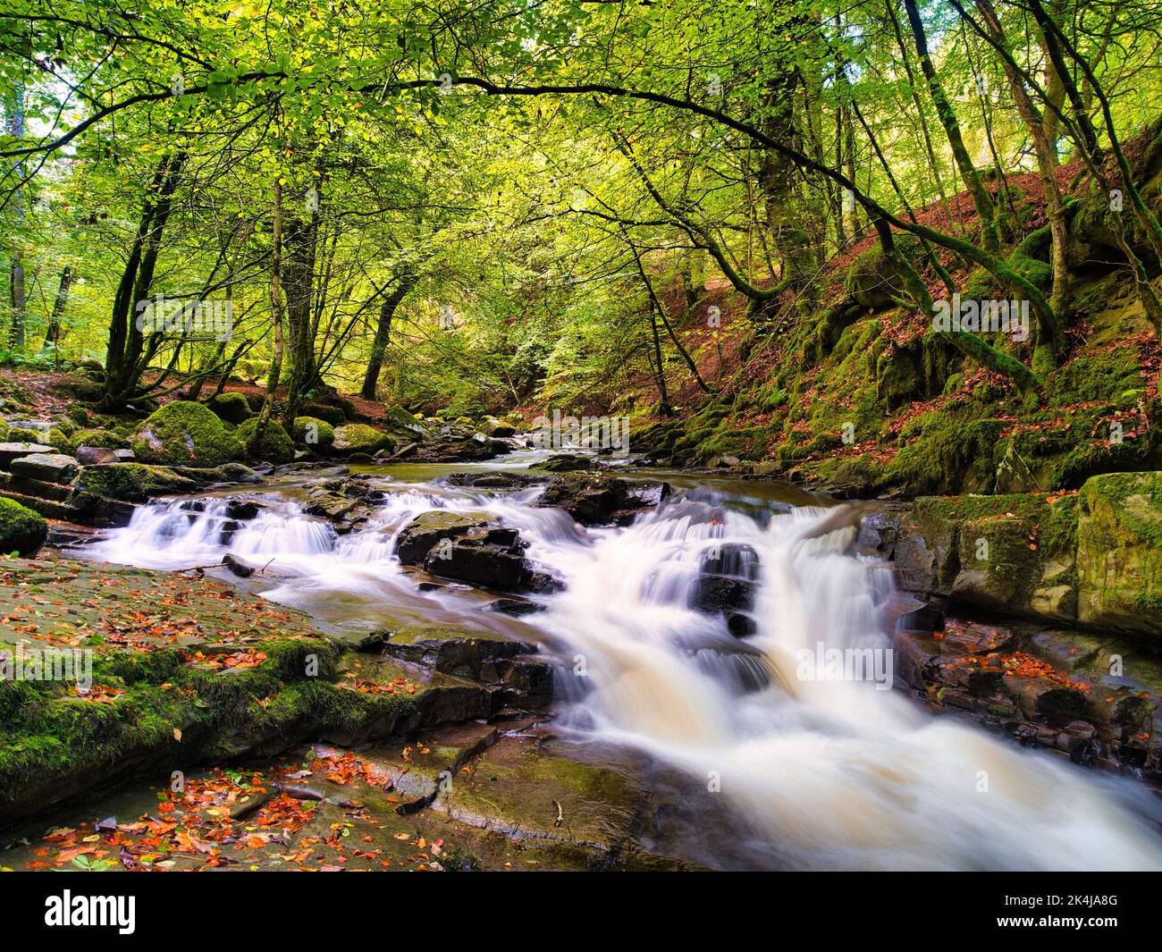 The Falls of Moness, The Birks of Aberfeldy, Perthshire, Scotland Stock ...