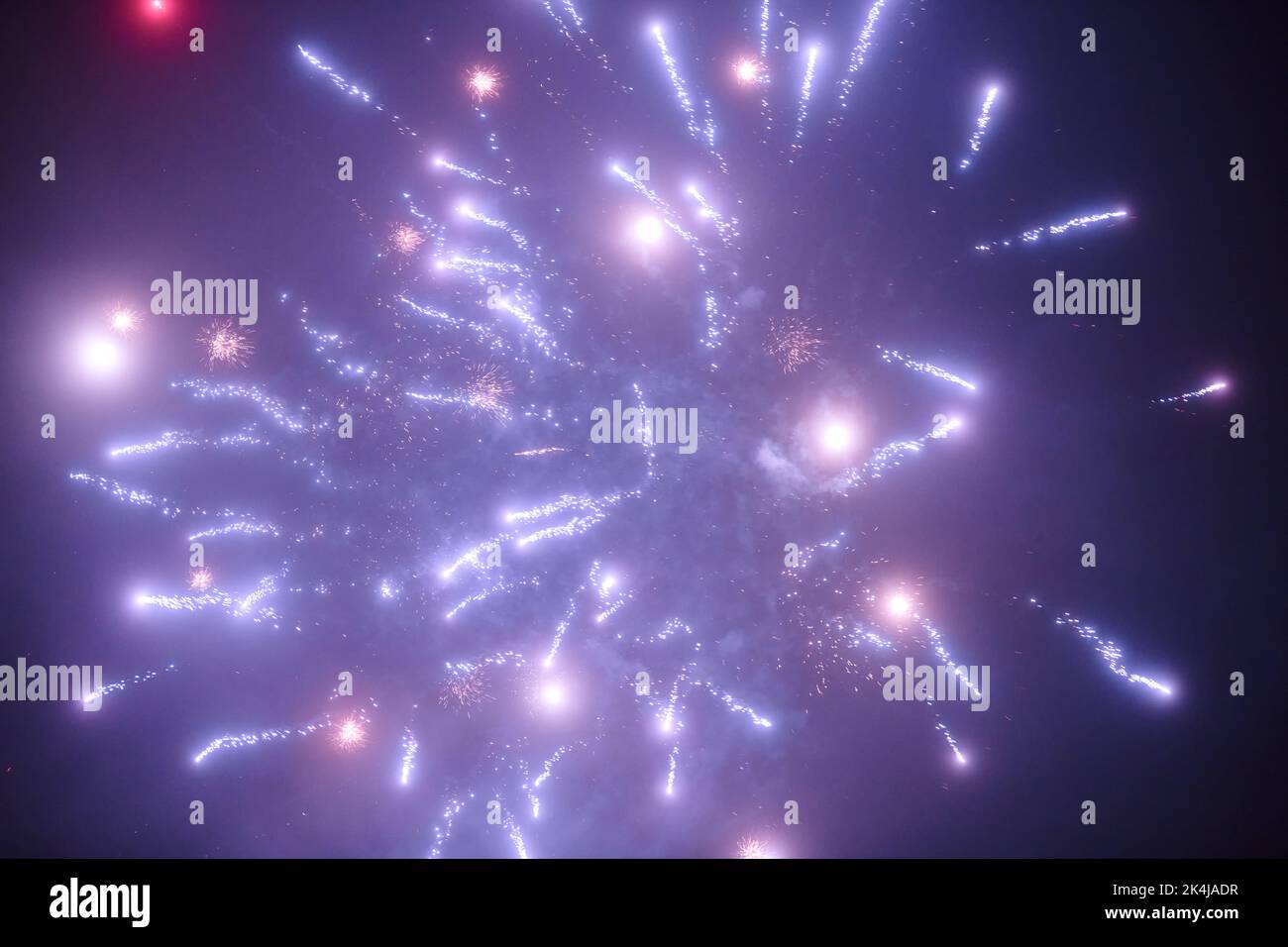 Blue purple night fireworks colorful bright sparkles and shiny festival ...