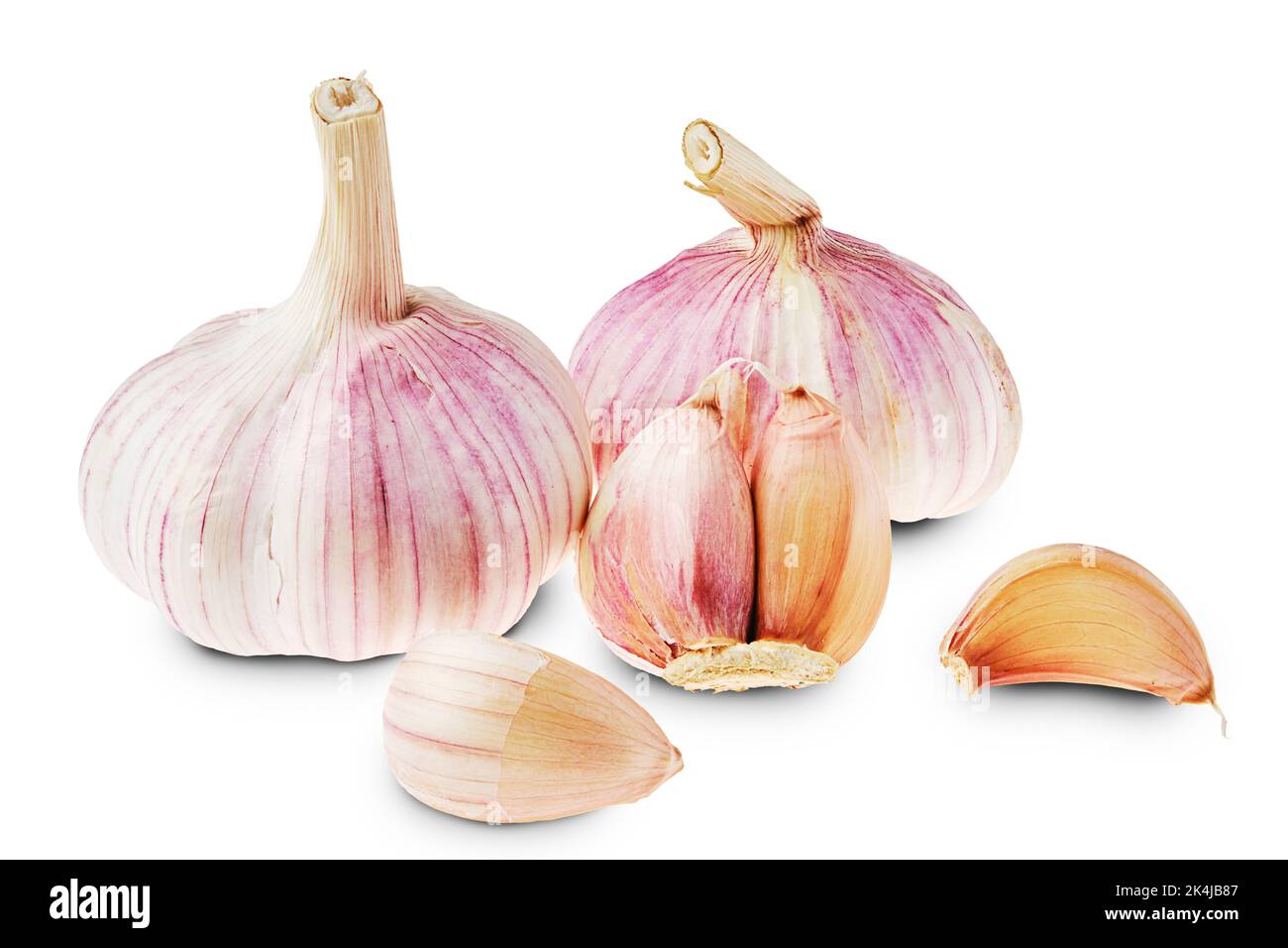 Fresh garlic with segments isolated on white background Stock Photo - Alamy