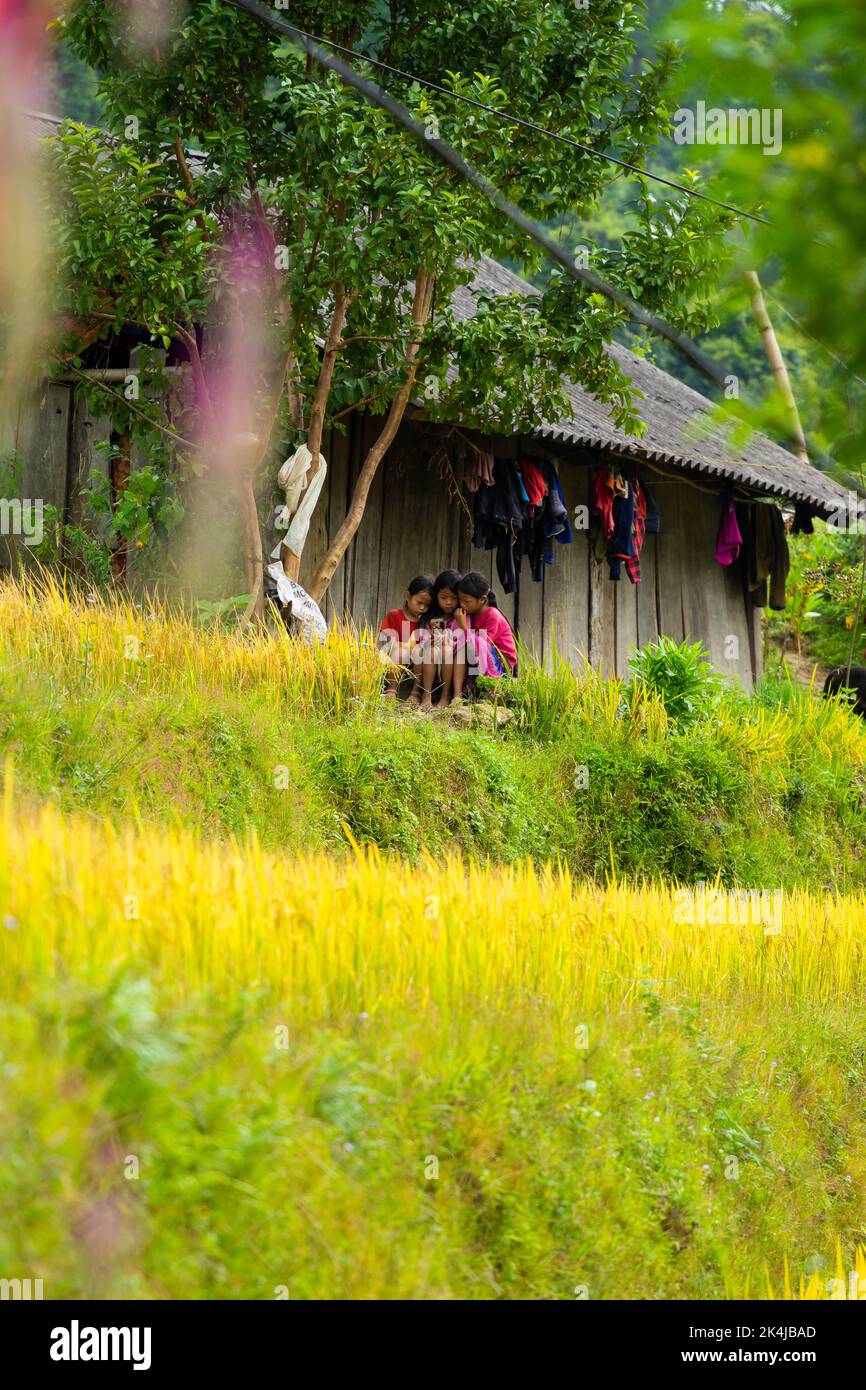 Mu Cang Chai, Vietnam - 24 Sep 2022: Hmong ethnic minority people in Mu Cang Chai, Yen Bai. Mu ...