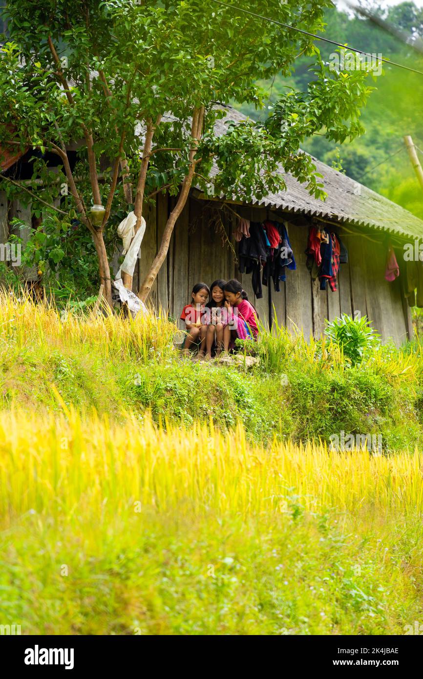 Mu Cang Chai, Vietnam - 24 Sep 2022: Hmong ethnic minority people in Mu ...